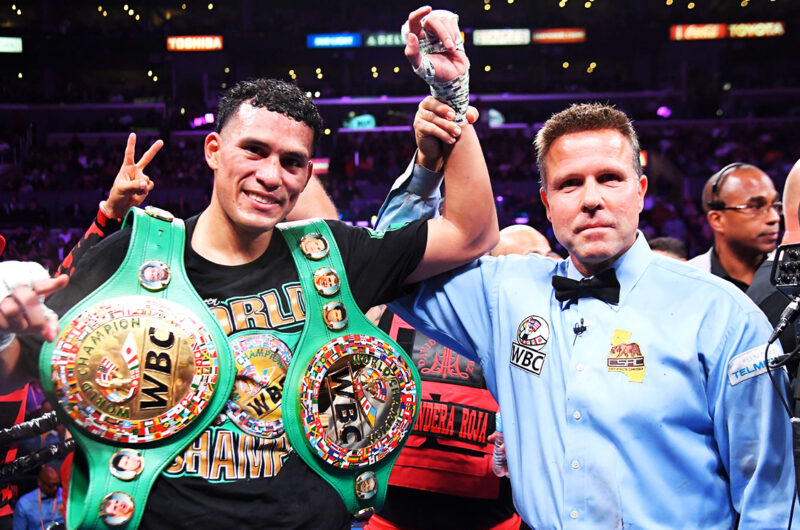 Sole Arbiter – Professional training for the third man in the ring